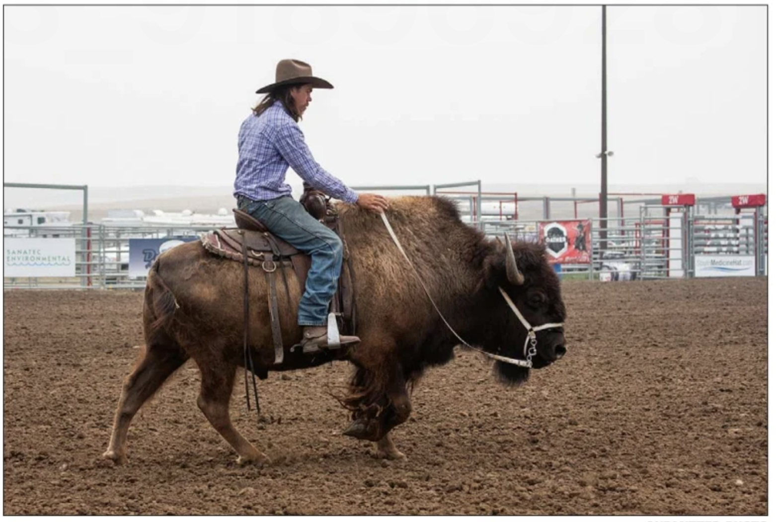 Three-day rodeo fundraiser features new ranch rodeo event - Medicine ...