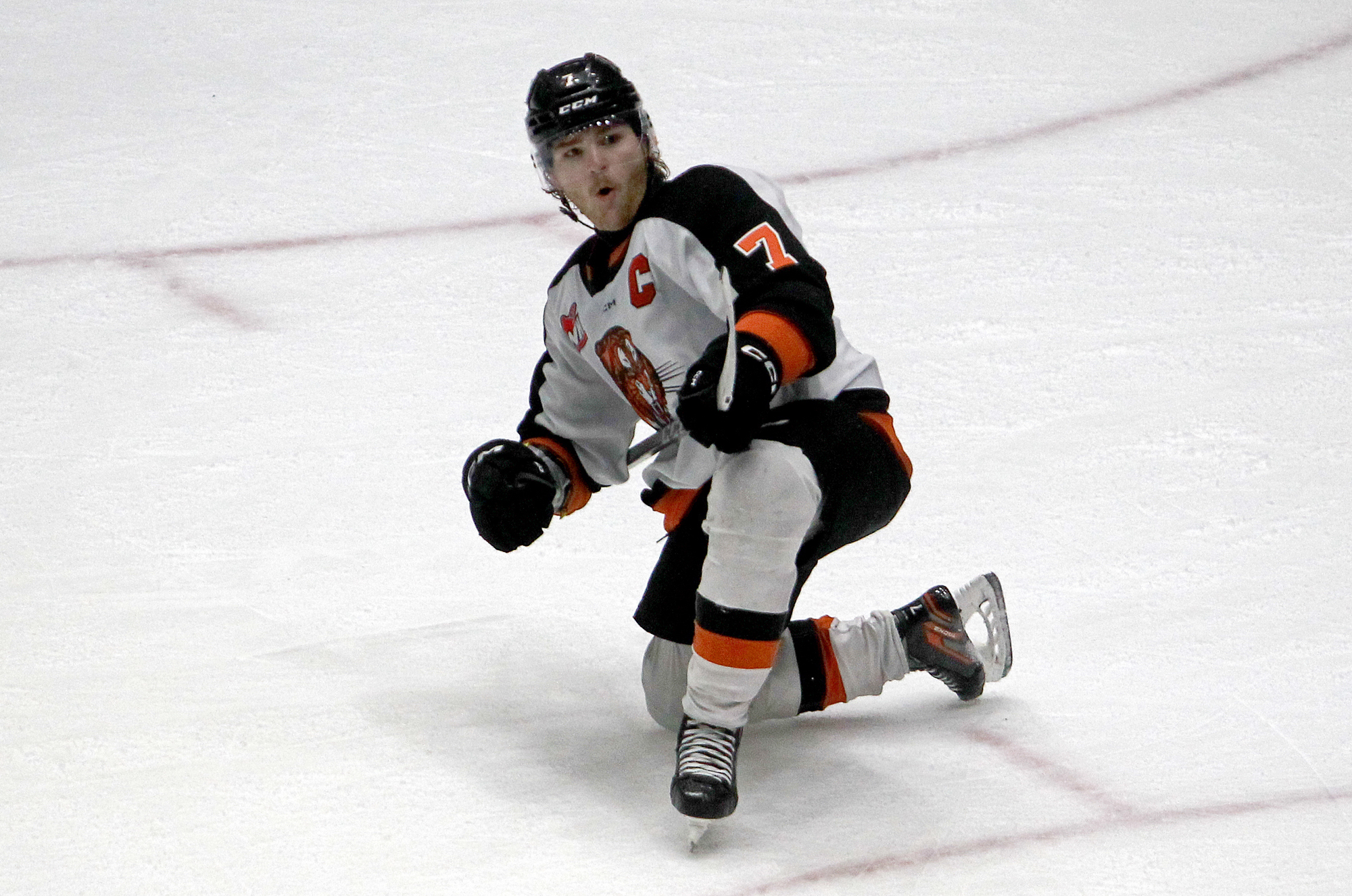 Shorthanded Tigers snap three-game losing streak with 8-4 win Saturday ...