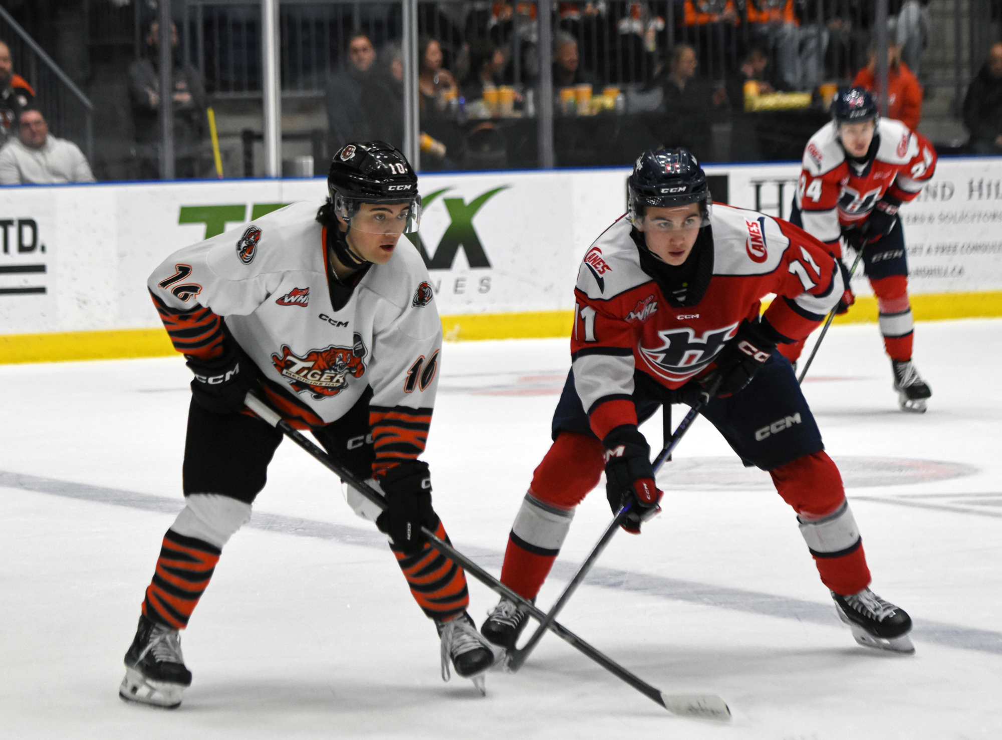 Tigers acquire forward Luke Cozens from Hurricanes for defenceman Kyle ...