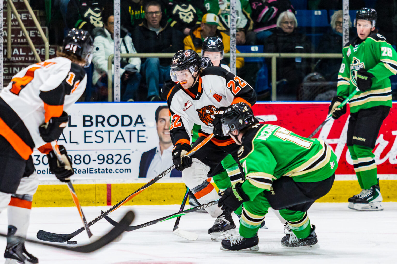 Tigers fall 5-1 Saturday to Eastern conference leading Raiders ...