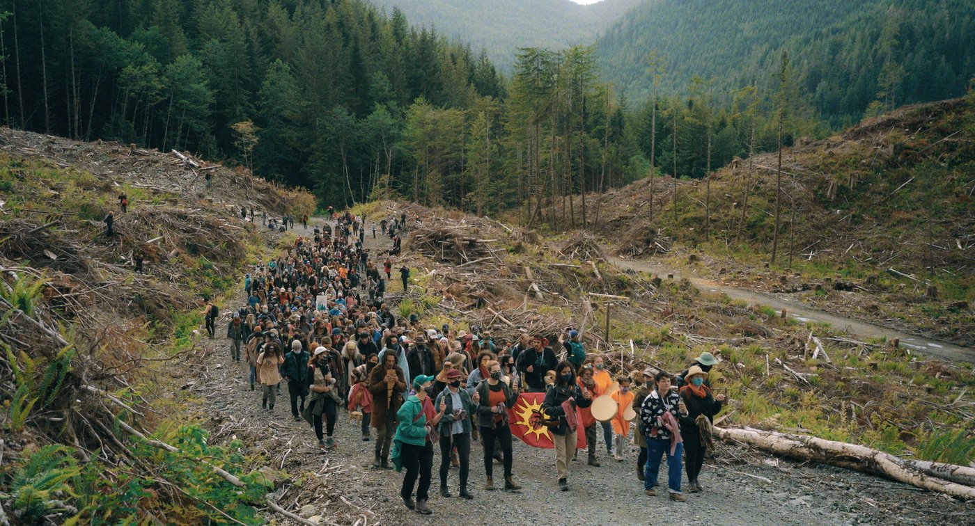 A documentary highlighting the 2021 Fairy Creek standoff makes its N.S. debut - Medicine Hat ...