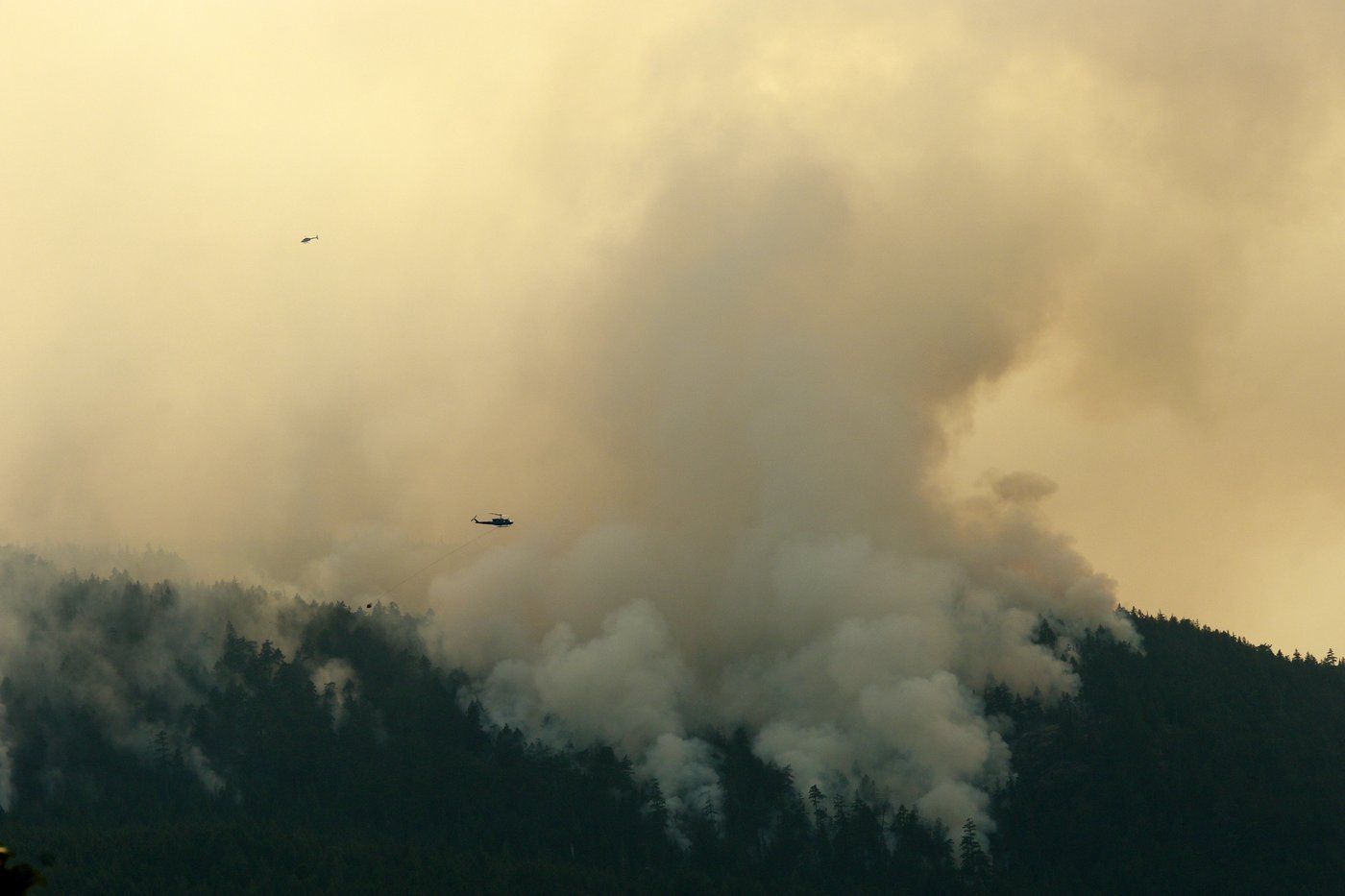 B.C. wildfire season scorched more than 8,800 square kilometres ...