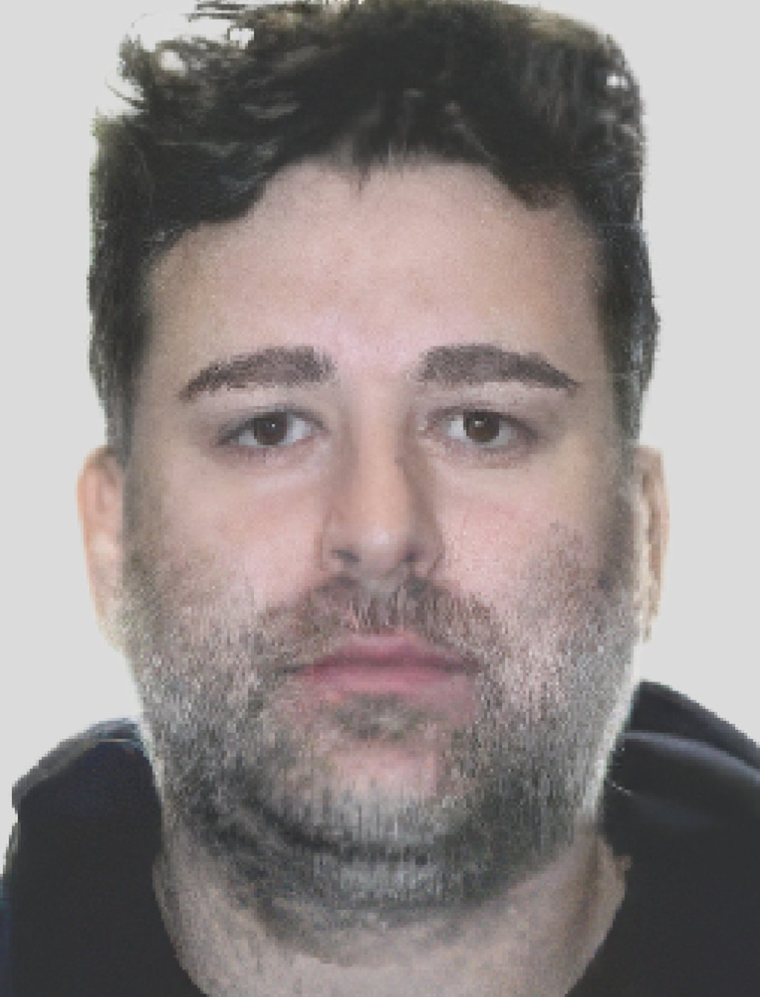 Proposed sureties pledge $1.2M in bail for man accused in Ryan Wedding ...