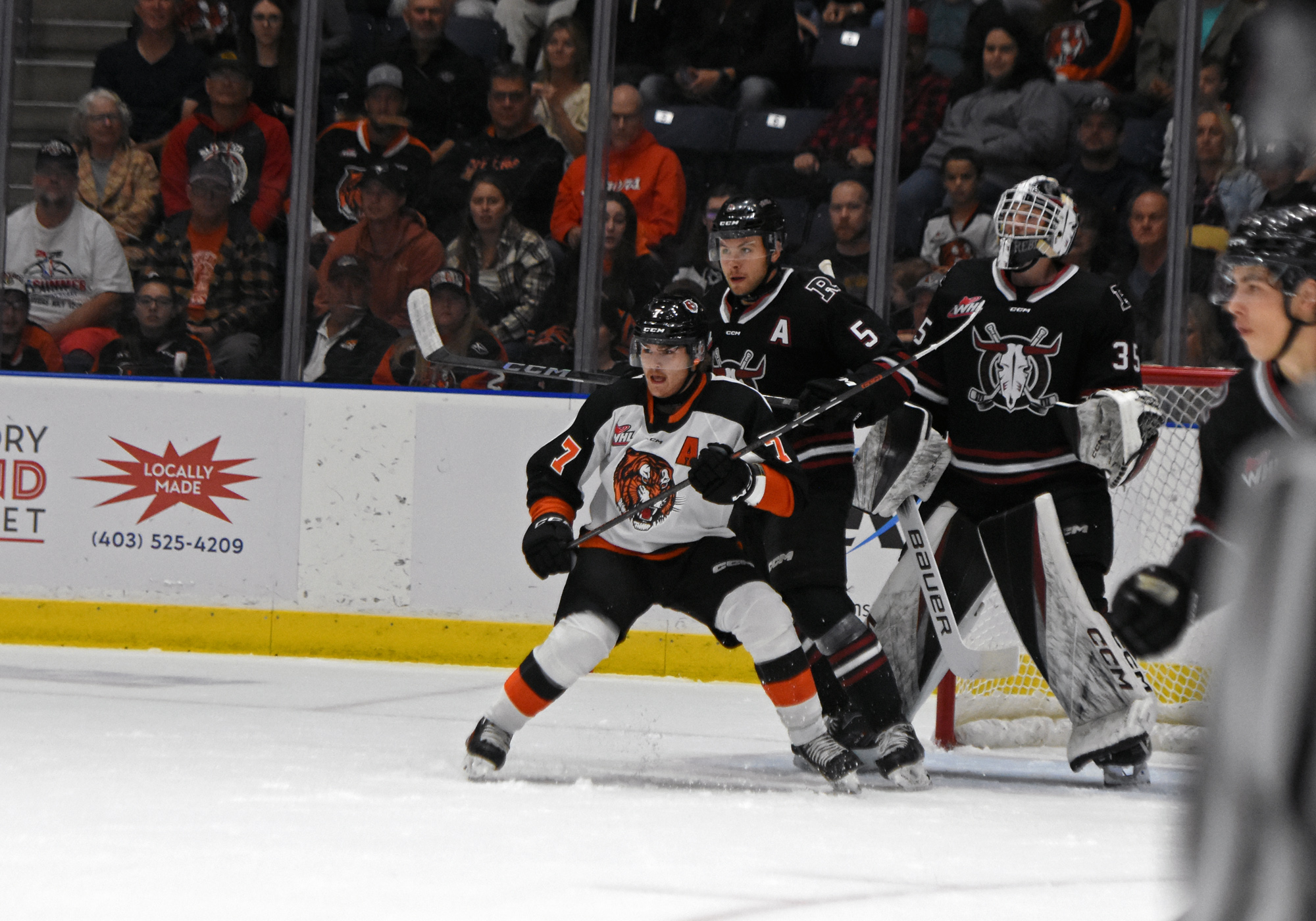 Wiesblatt named Tigers' 41st captain in franchise history - Medicine ...