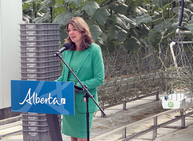 Big Marble Farms gets $2.2M for emission-lowering lights - Medicine Hat ...